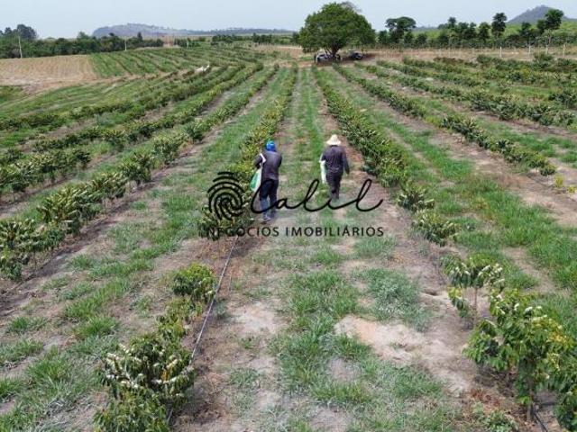 Sítio para venda em Centro, Santo Antônio da Alegria