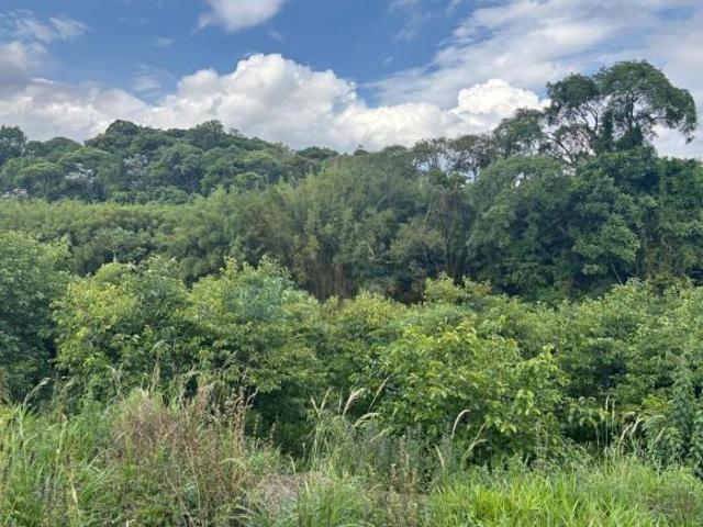 Sítio para venda em Bairro do Morro, Itatiba