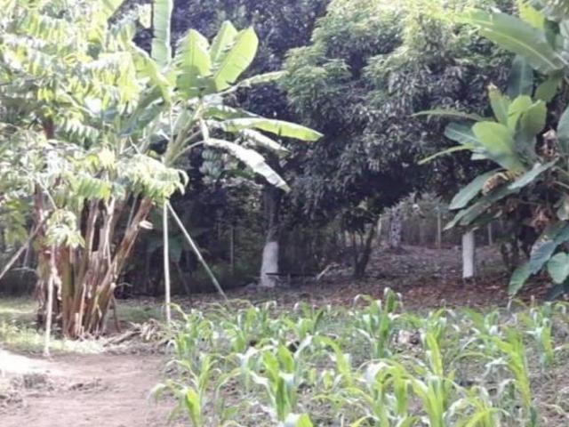 Chácara