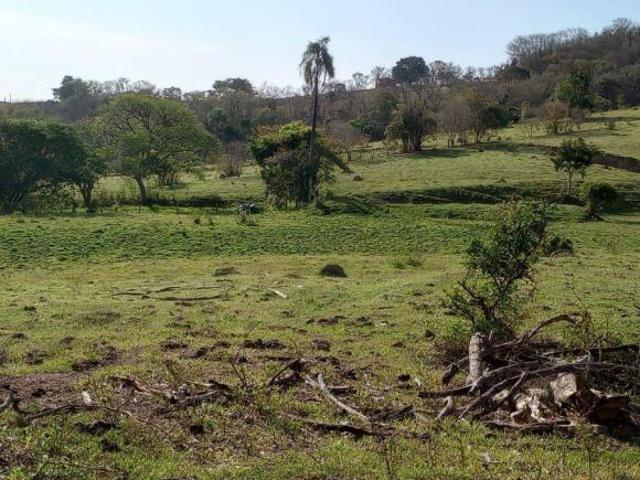 Sítio para venda em Porto, Capela do Alto
