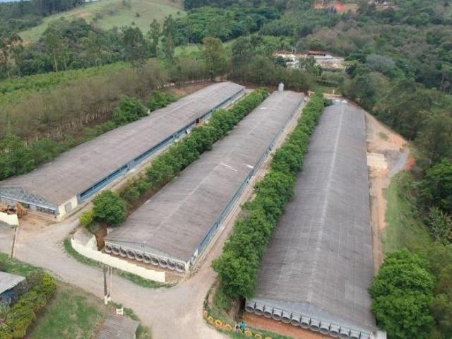 Sítio