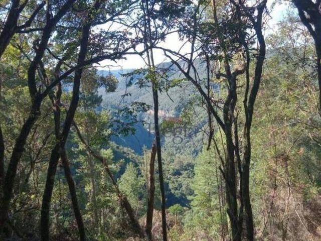 Sítio para venda em Caracol, Canela