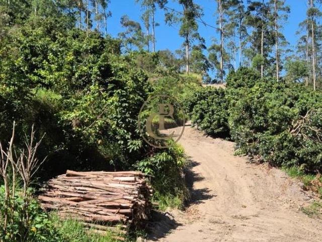 Sítio 79.86 hectares ou 33 alqueires paulista de Riqueza Natural e rentabilidade Salesopoles SP