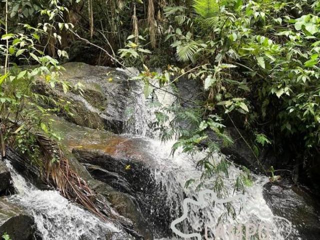 SÍTIO 7 ALQUEIRES COM CACHOEIRA EXUBERANTE IDEAL PARA EMPREENDIMENTO DE CENTRO DE LAZER !