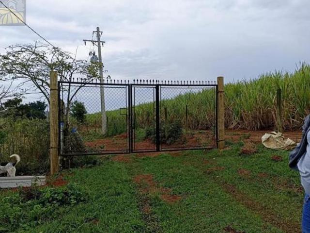 Sitio, 7,5 Alqueires Alambari Oportunidade, Alambari, SP