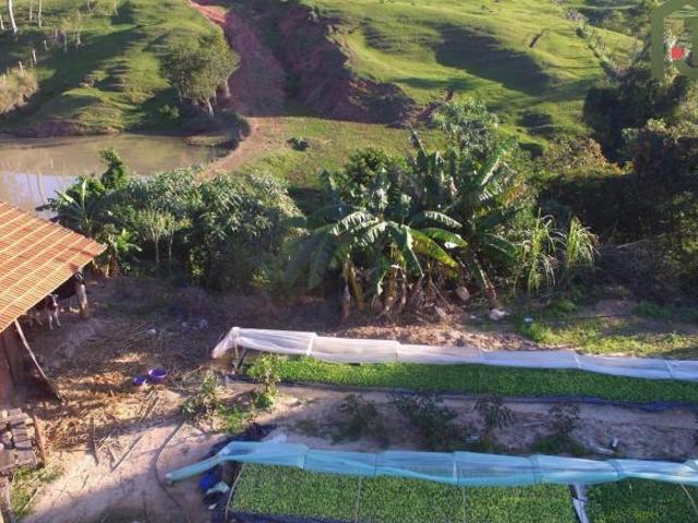 Sítio para venda em Centro, Dona Francisca