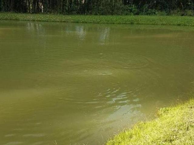 Sítio