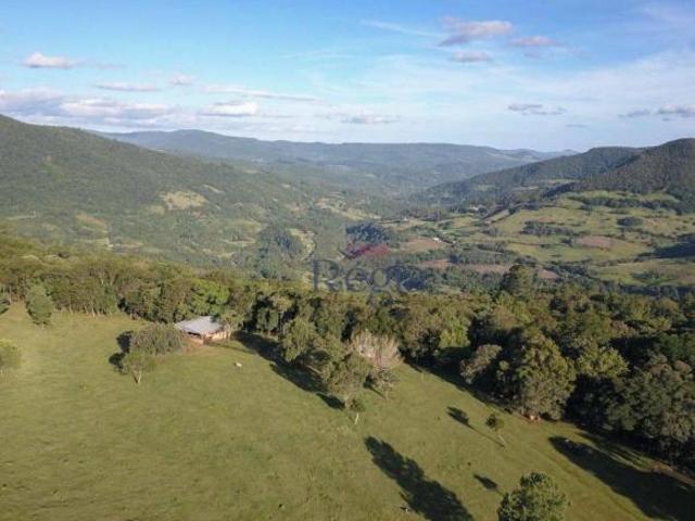 Sítio para venda em Canela