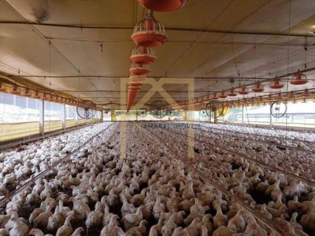 Sítio para venda em São Miguel Arcanjo