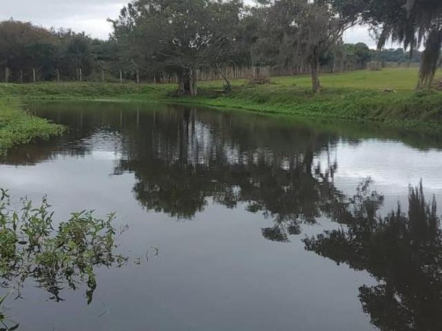 Sítio