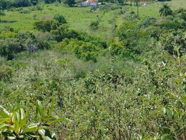 Sitio, 8 Alqueires Topografia Plana/ondulada Rica em Água, Sarapuí, SP