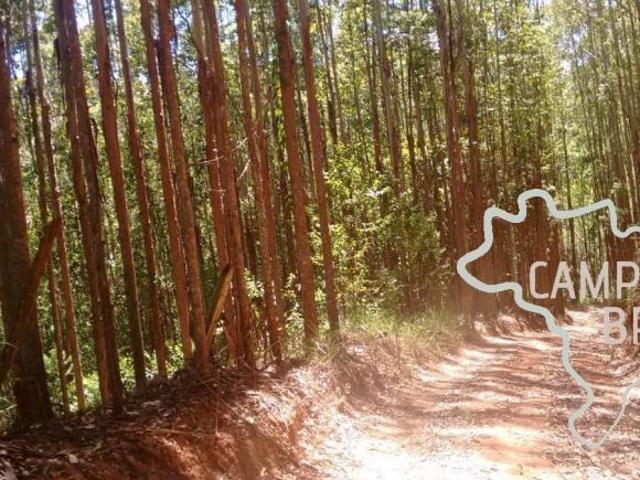 SÍTIO 8,5 ALQUEIRES EM REDENÇÃO DA SERRA !