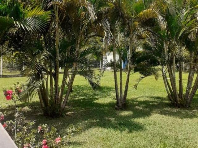 SITIO 8,5HA EM ARANHA BRUMADINHO MG
