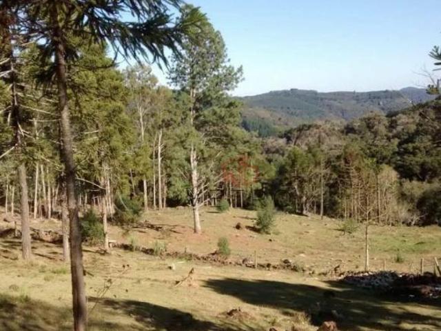 Sítio para venda em Jardim das Fontes, Canela