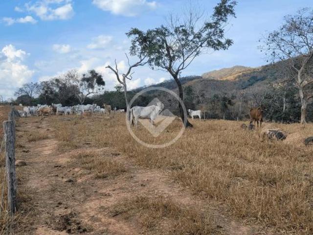 Sítio 91ha região de Cáceres MT R$ 2.000.000,00