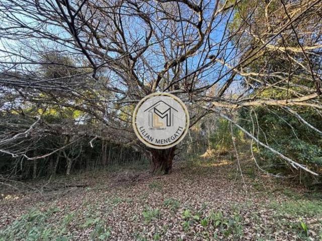 Sitio a Venda em Campo Limpo Paulista, Botujuru, 99.161m², Represas, Nascentes e Grande Area Verde