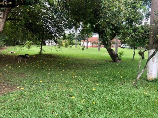 SÍTIO 04 ALQUEIRES EM BOITUVA SP