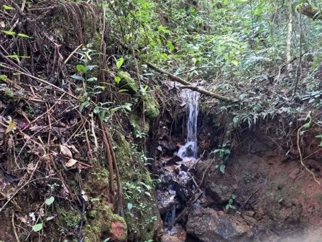 Sitio 08 Hectares