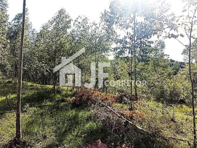 Sítio 1000 m² em Estância Velha – Vista Panorâmica e Condições Facilitadas