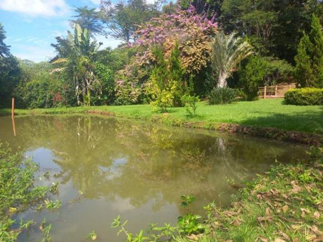 Sitio 10.000 m2 em Pará de Minas/MG