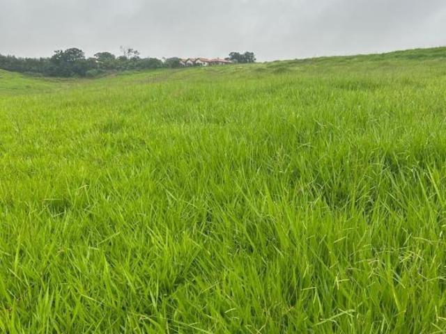 Sítio 10 alqueires em Cerquilho ao lado do Paineiras Residencial: Loteamento fechado de alto padrão