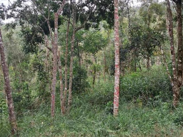 Sitio 10 Hectares