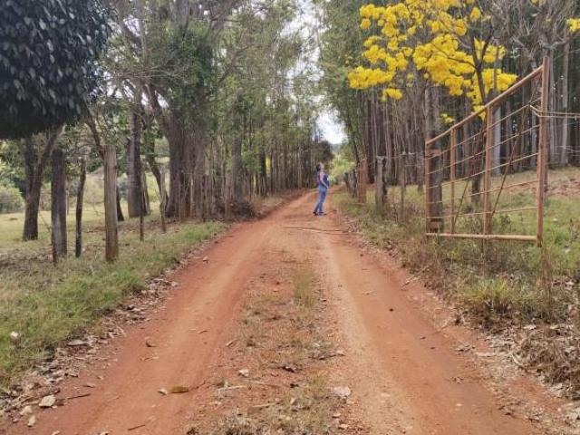 Sítio 10 Hectares em Capitolio MG