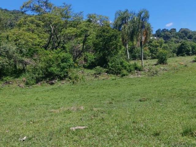 Sitio 10 Hectares em Lajeadinho na Cidade de Igrejinha/RS as Margens da RS 020