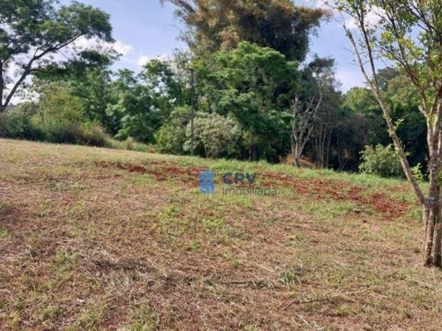 Sítio para venda em Limoeiro, Londrina