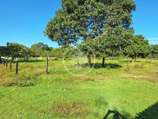 Sítio 12,5 Hectares em Poconé: Formado, com 2 Represas e apenas 6km da Cidade