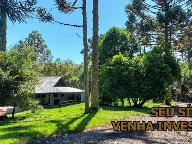 Sítio 12,8 alqueires Tijucas do Sul
