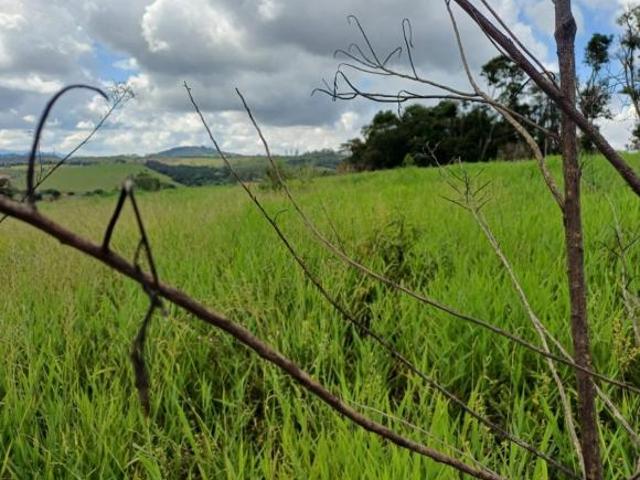 SÍTIO 12 HECTARES C/ ÓTIMA NASCENTE PRÓPRIA À VENDA EM PIEDADE DOS GERAIS/MG