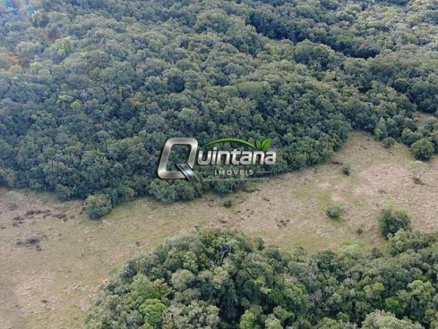 Sítio 17ha com Estufa de Fumo Funcionando Canguçu/RS