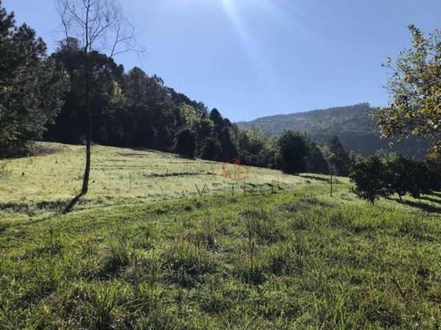 Sítio para venda em Várzea Grande, Gramado