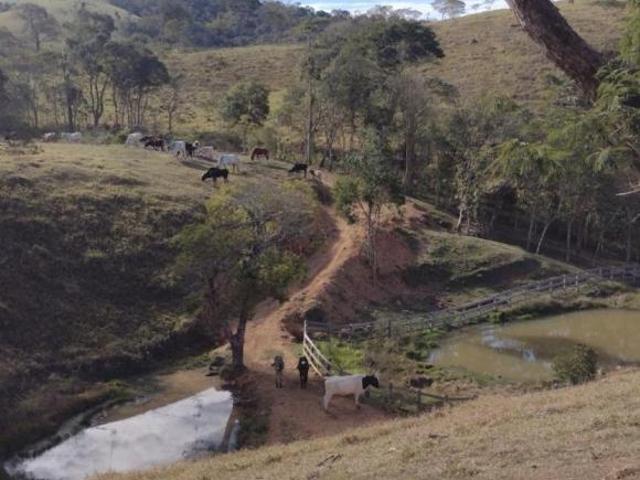 Sítio 14,520 Hectares com Casa Sede e Curral Equipado em Guaratinguetá/SP