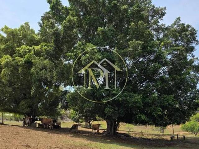 Sítio para venda em Área Rural de Porto Feliz, Porto Feliz