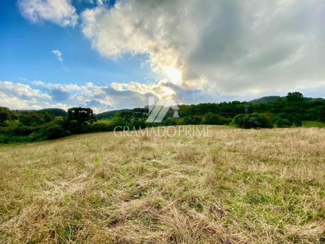 SÍTIO 16 HECTARES SERRA GRANDE GRAMADO!