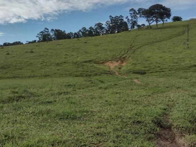 Sítio 18,43 Hectares com Pasto Formado e À Beira do Asfalto em Lagoinha/SP