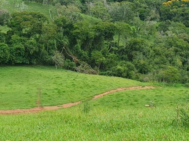 Sítio 19 Hectares com Terra Roxa e Topografia Suave em Virgínia/MG