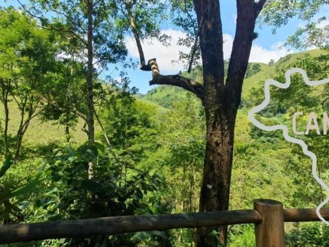 SÍTIO 1 ALQUEIRE COM PISCINA NATURAL EM SÃO FRANCISCO XAVIER !