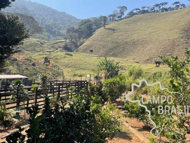 SÍTIO 23 ALQUEIRES COM PASTO FORMADO EM SÃO FRANCISCO XAVIER !