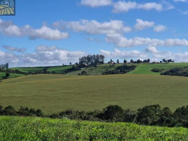 Sitio, 20alq Propriedade Fantástica Região de Itapetininga, Sarapuí, SP