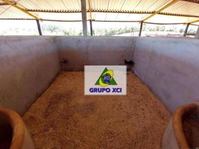 Sítio para venda em Barreiro, Santo Antônio de Posse