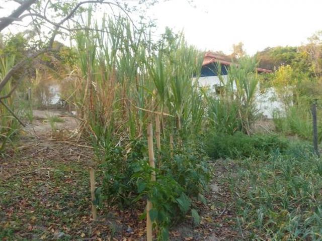 Sitio