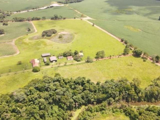 Sitio, 22 Alqueires Topografia E Estrutura Excelentes, Sarapuí, SP
