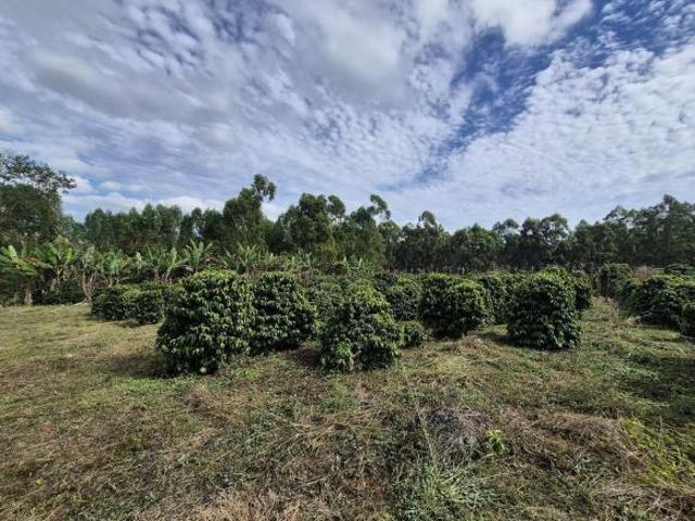 Sítio para venda em Campestre