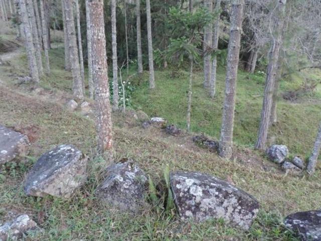 Sítio