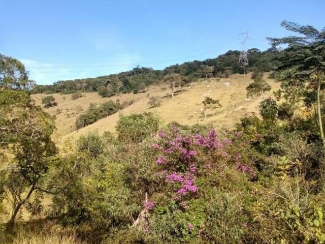 Sítio 25 alqueires á venda Igaratá SP