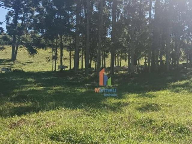 Sítio para venda em Ouro Fino