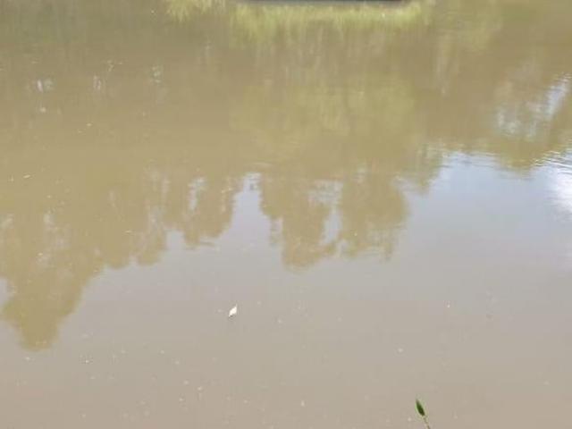Sítio 27000m2, Casa 150m2, 3 Dormitórios, Muita Água, Tanques de Peixes, Bem Cercado, 6 km da Cidade